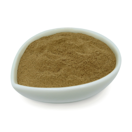 Noz de Cola em Pó (Cola nitida) | Estimulante Natural | Natureza Divina
